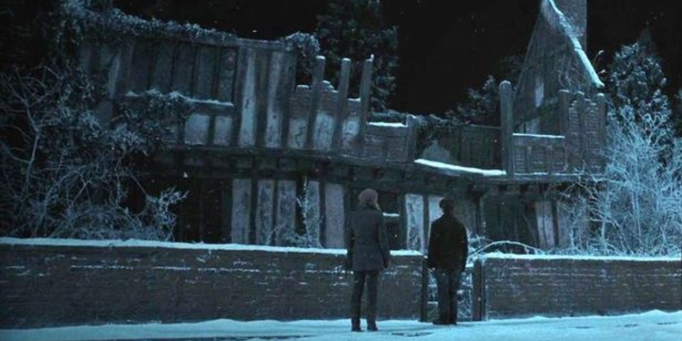 Harry Potter: How Nagini Became Bathilda Bagshot