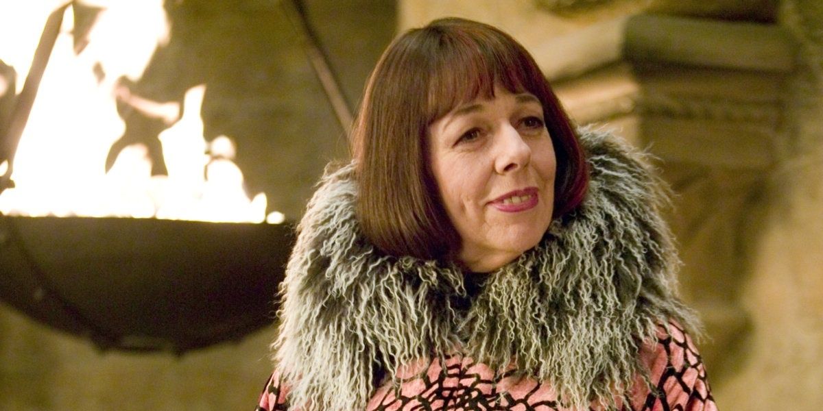 7 Characters Harry Potter Never Interacts With