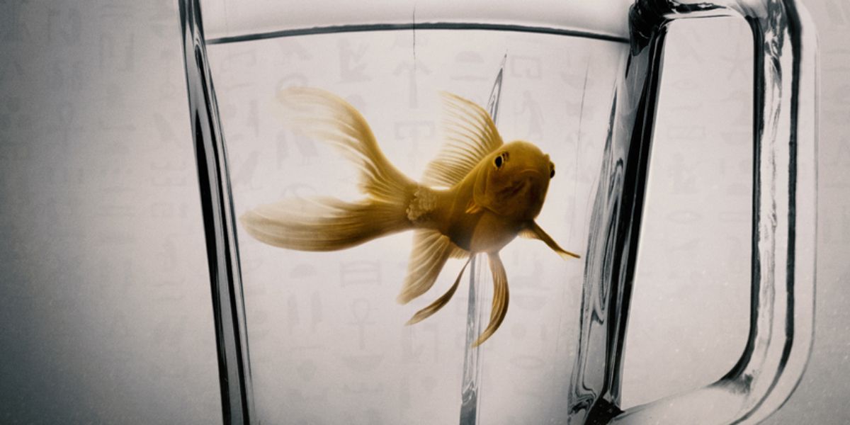 Moon Knight Debuts Its Fishiest Poster Yet