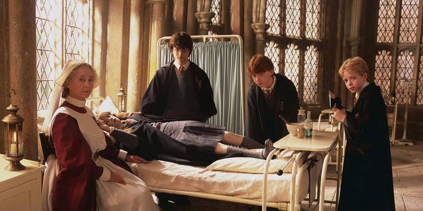 10 Times Hermione Earned Harry's Respect In Harry Potter