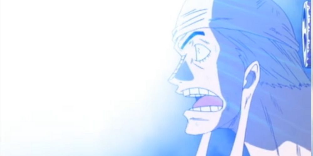 10 Times Plot Armor Made Sense In One Piece