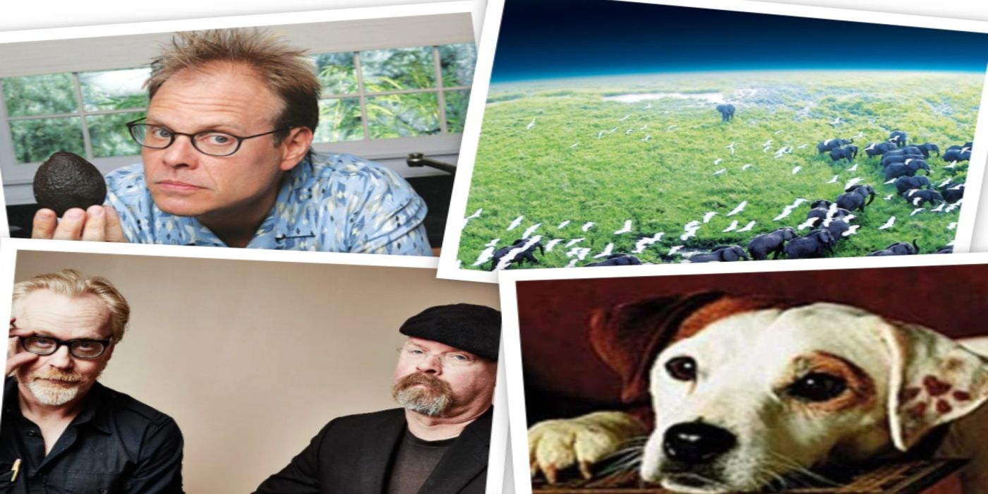 Top 8 TV Series That Inspire Us To Learn