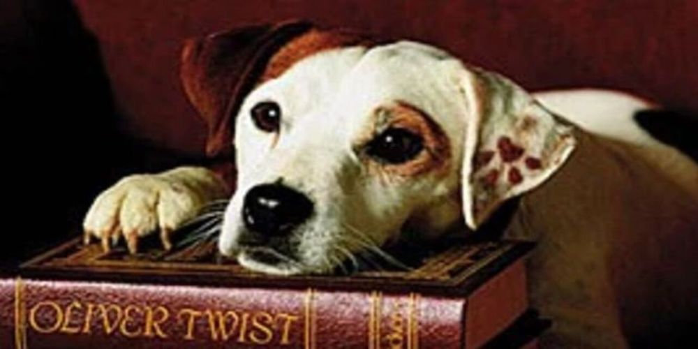 Top 8 TV Series That Inspire Us To Learn