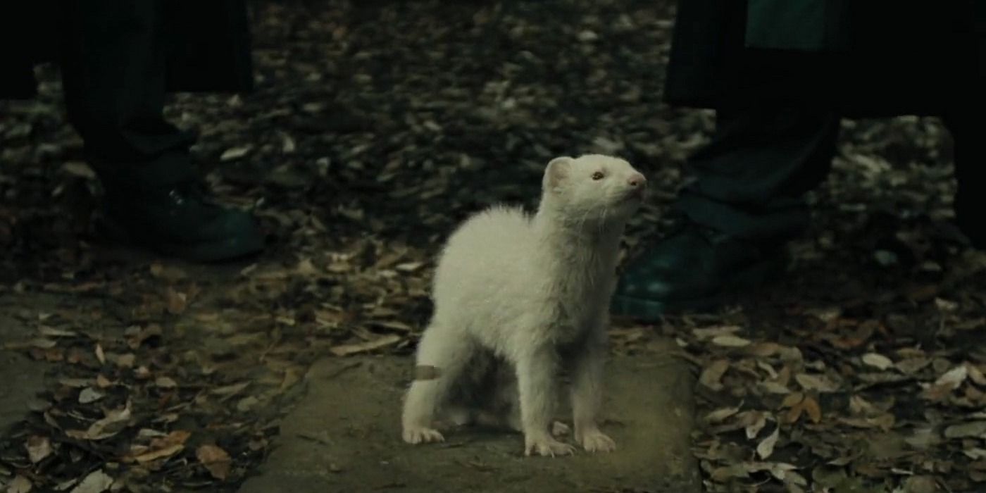 Each Main Character s Funniest Scene In Harry Potter each-main-character-s-funniest-scene-in-harry-potter