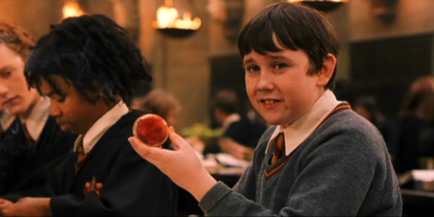 10 Questions Fans Still Have After Harry Potter's Finale