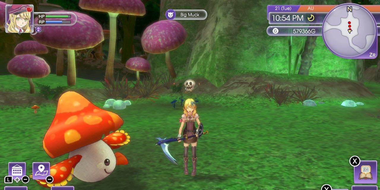 Rune Factory 5 Status Ailment Cure Guide