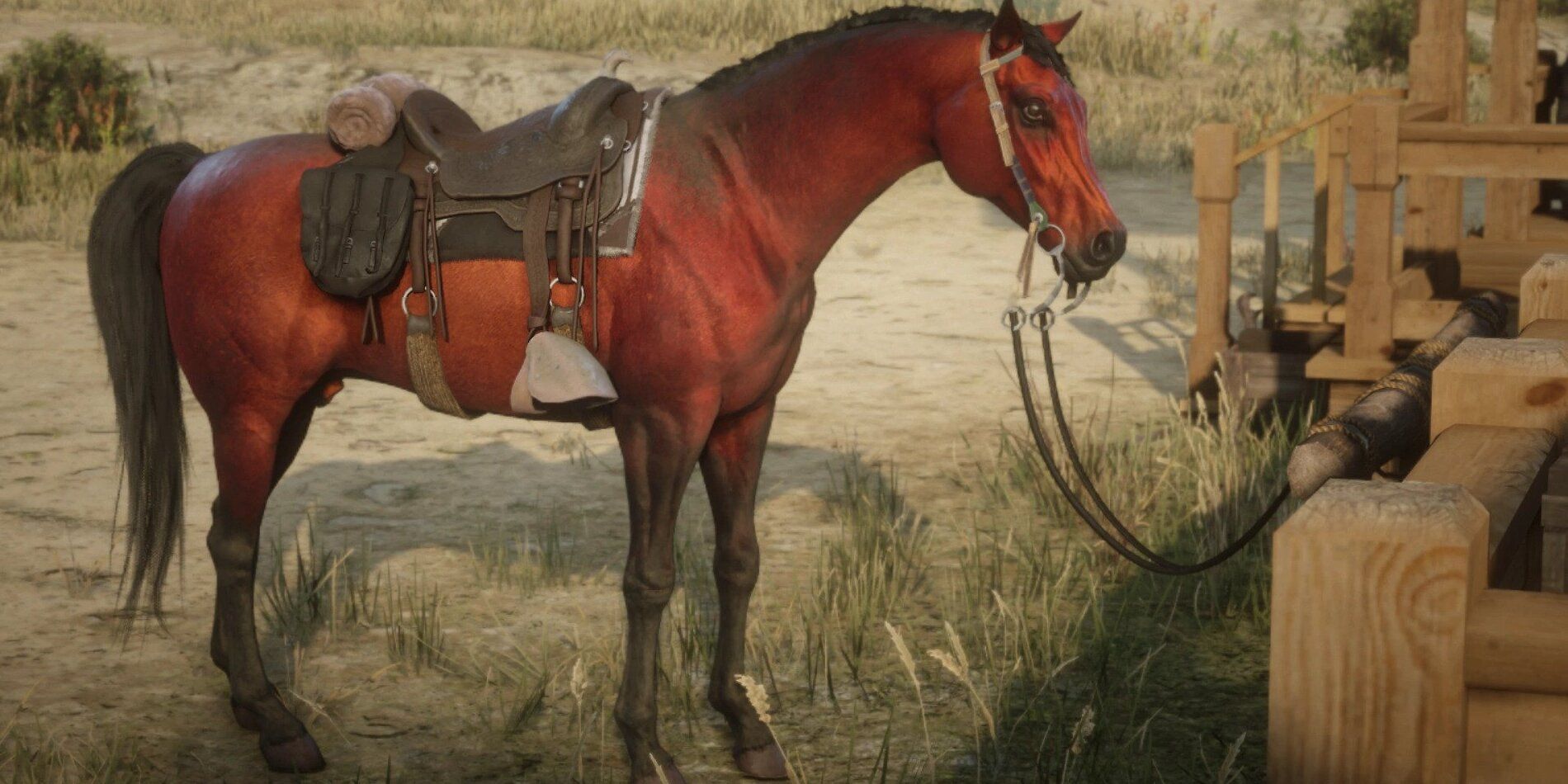 Red Dead Redemption 2: The Best Cheats