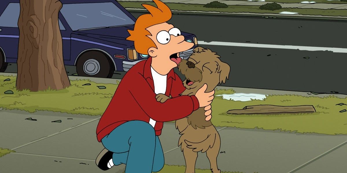 Study Determines the Most Emotional Dog Films of All Time