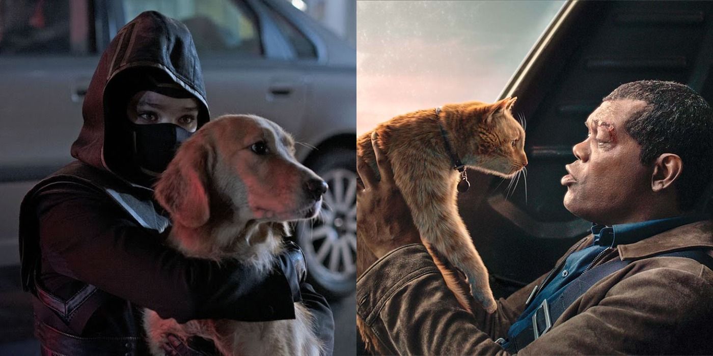 8 Best Pets In The MCU