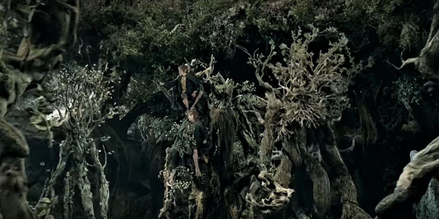 Will Amazon's Lord of the Rings Series Finally Reveal the Entwives' Fate?