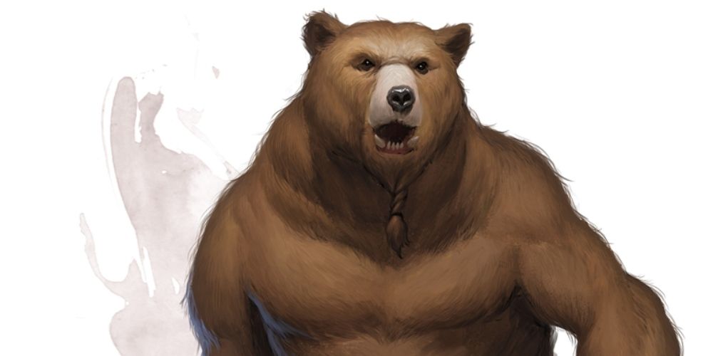 10 Most Broken Character Builds For D&D 5e (& 10 Underwhelming Builds)