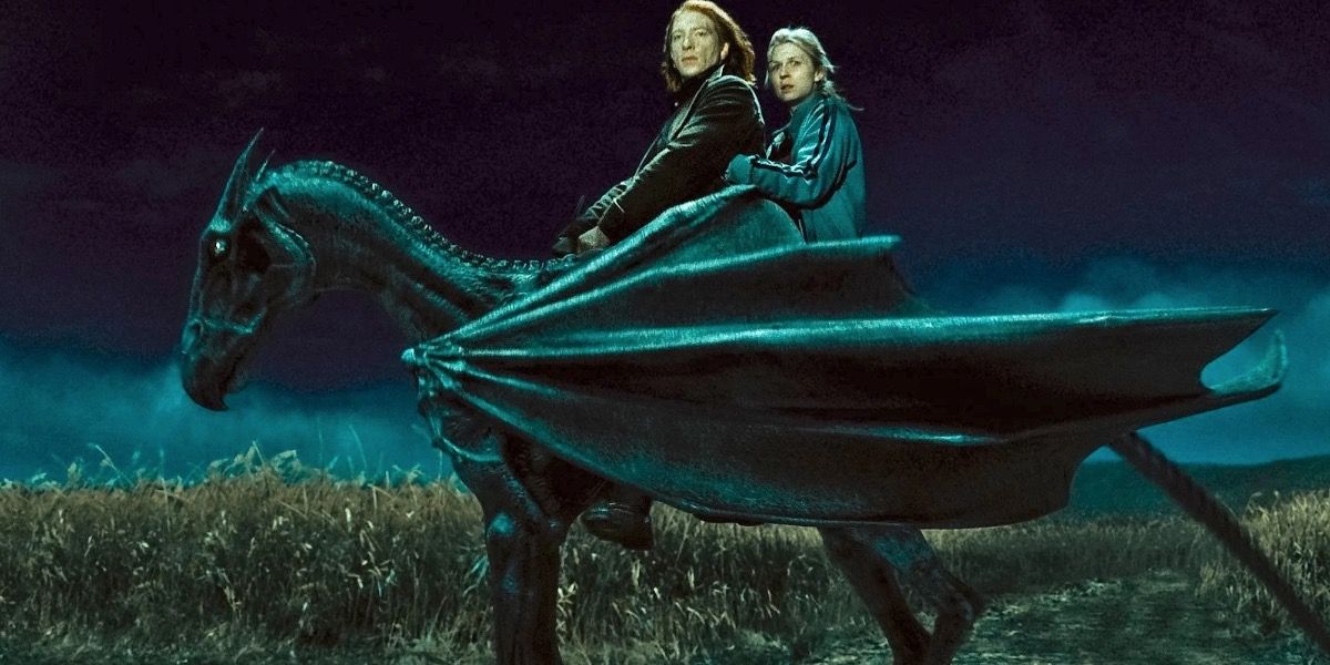 15 Things You Didn't Know About Wand Cores In Harry Potter