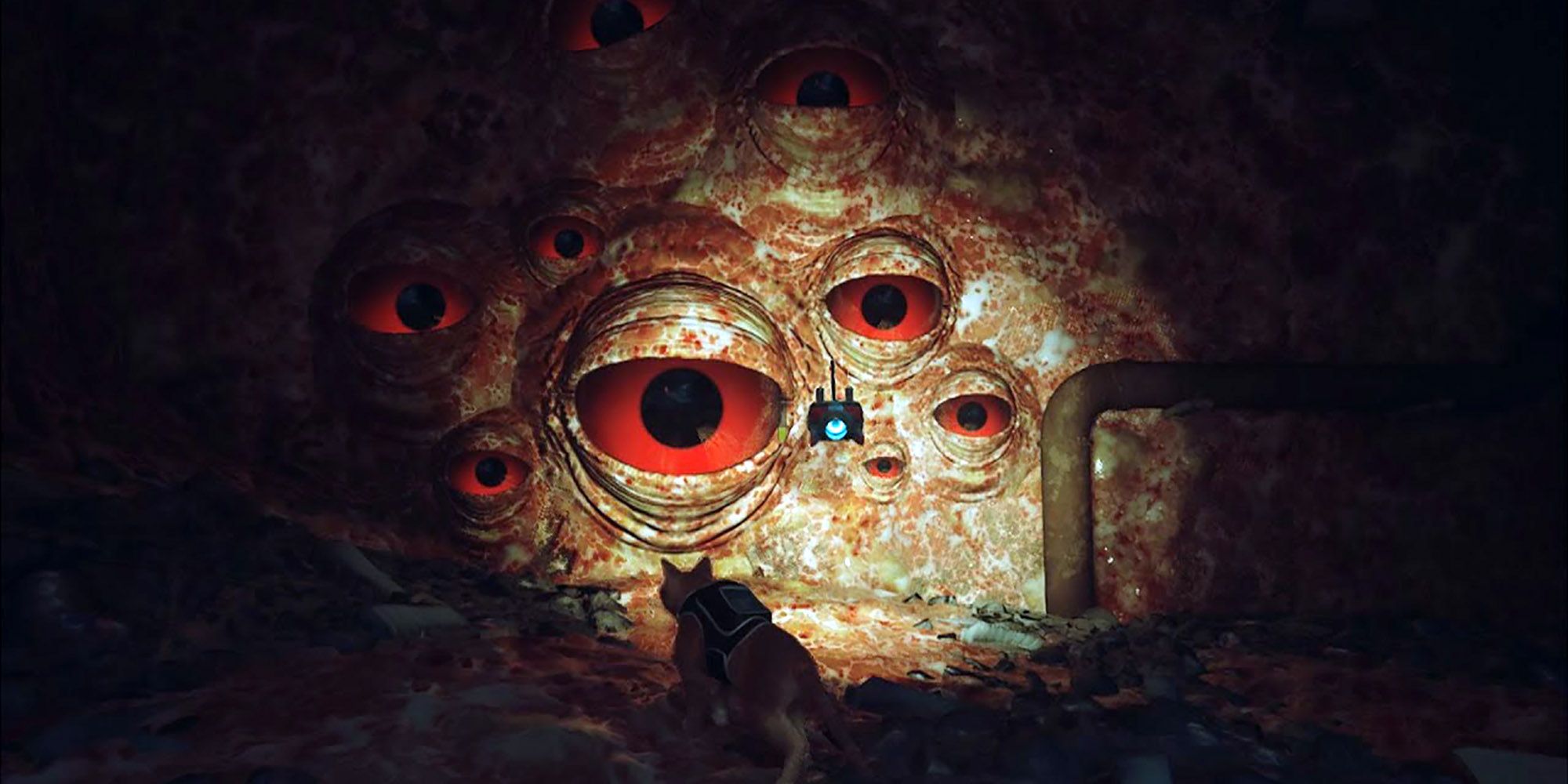 Stray: Where Did the Humans Go?