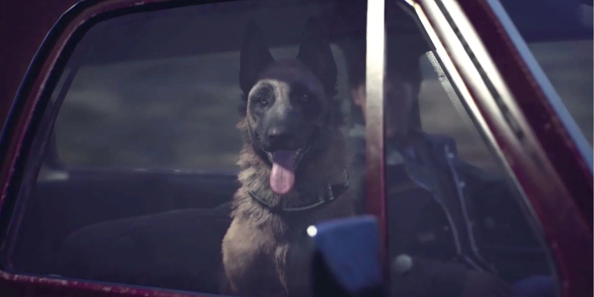 The 10 Best Video Game Dogs