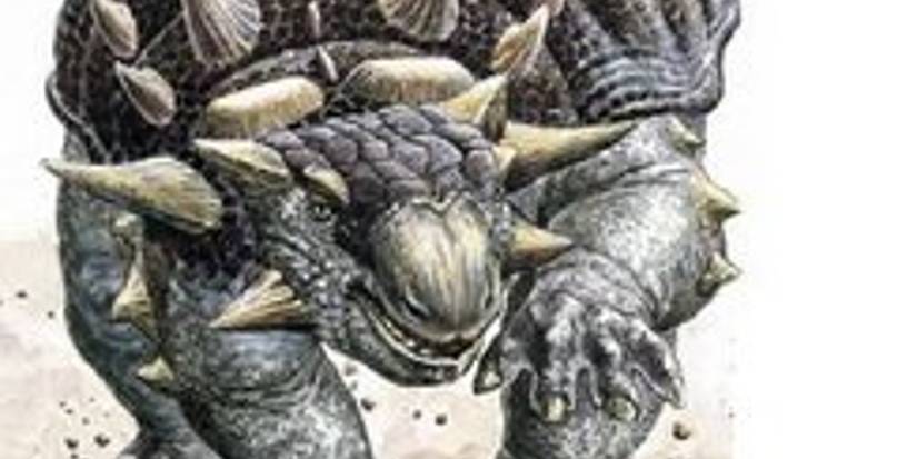 10 Best Wild Shape Forms For Druids In D&D