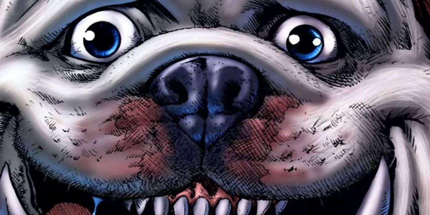 The Boys: 10 Characters From The Comics We Want To See