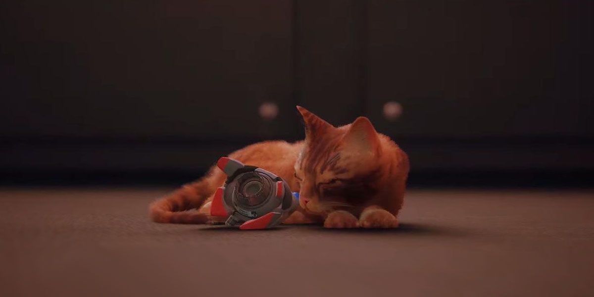 10 Times Stray Broke Our Hearts