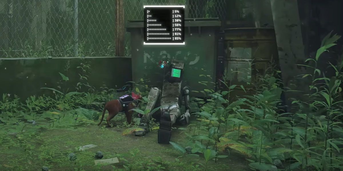 10 Times Stray Broke Our Hearts