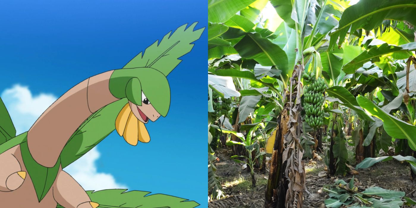 15 Grass-Type Pokémon That Are Basically Real Plants