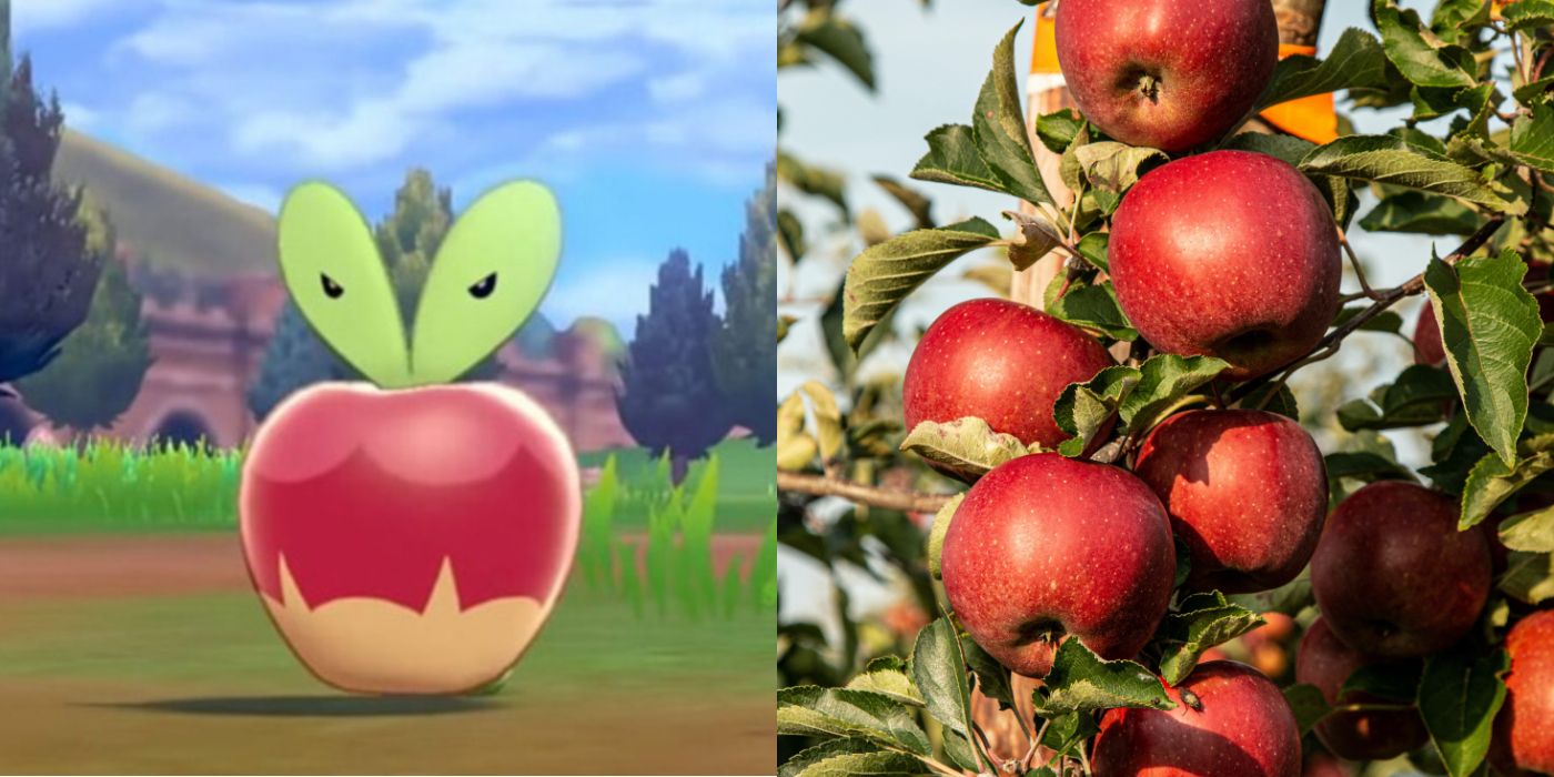 15 Grass-Type Pokémon That Are Basically Real Plants