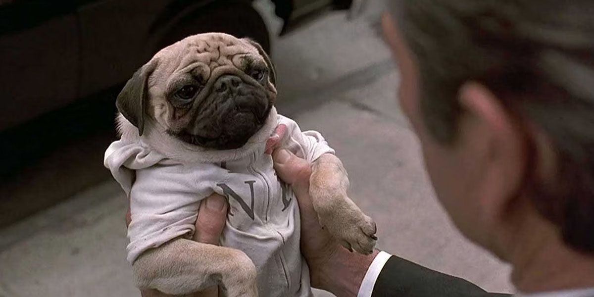 10 Times We Cared More About The Dog Than The Main Characters