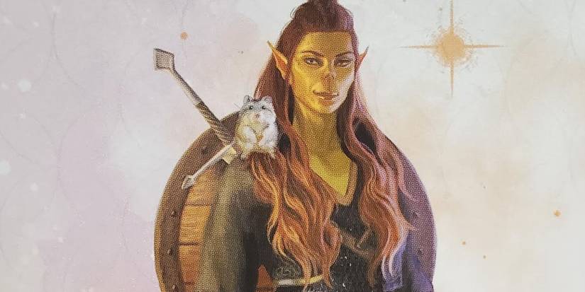 Best D&D Character Races For Rogue
