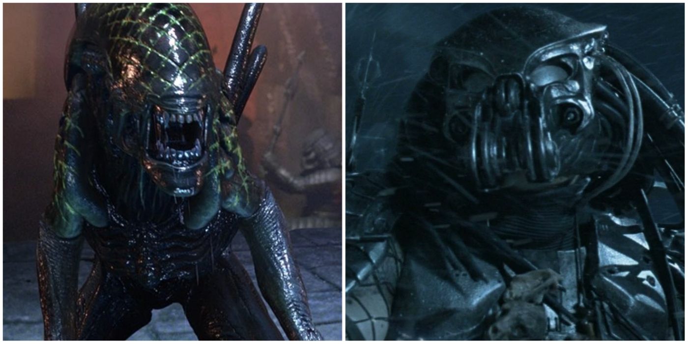 The Predator Franchise's 10 Best Fights
