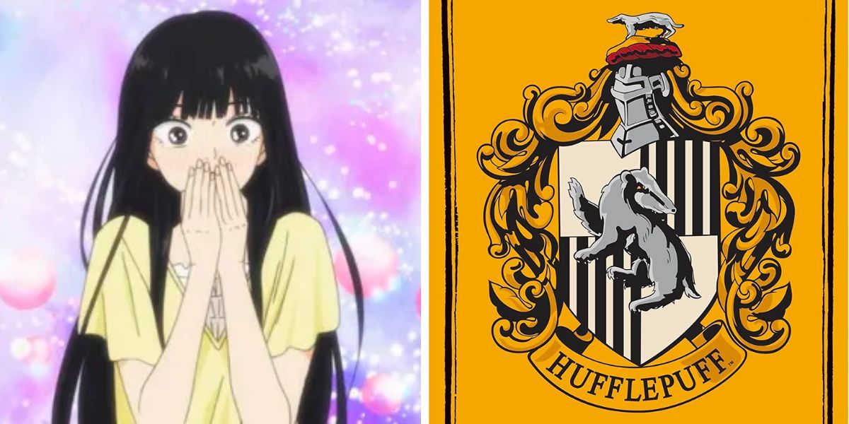 10 Best Shojo Characters Who Would Be In Hufflepuff
