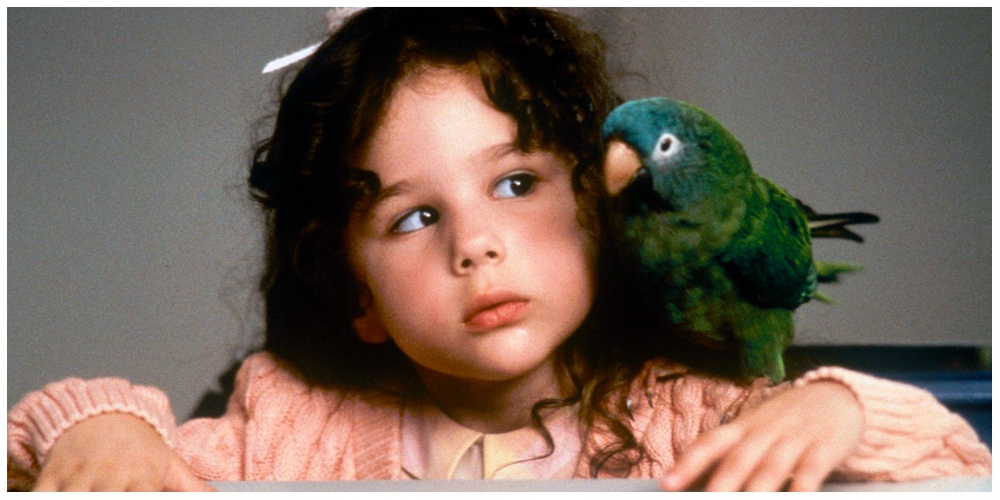 10 Live-Action Films Where The Main Character Is An Animal