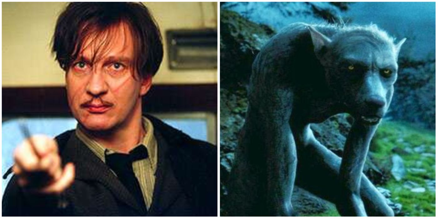 10 Predictable Harry Potter Story Arcs That Fans Still Love