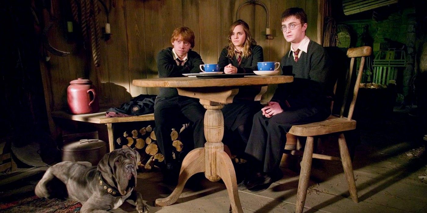 Harry Potter: 10 Times The Golden Trio Broke Hogwarts’ Rules