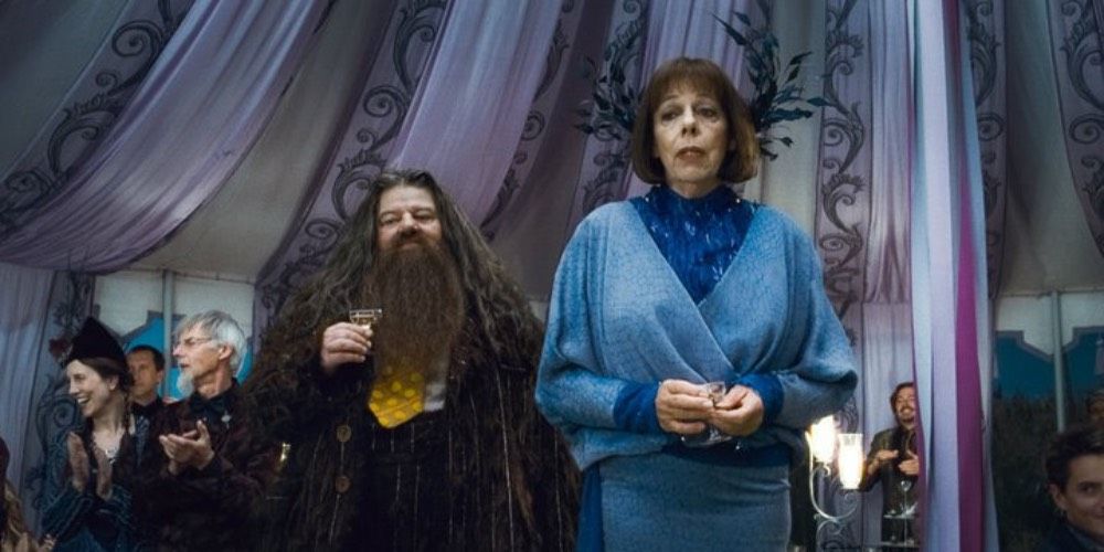 20 Most Popular Harry Potter Ships, Ranked