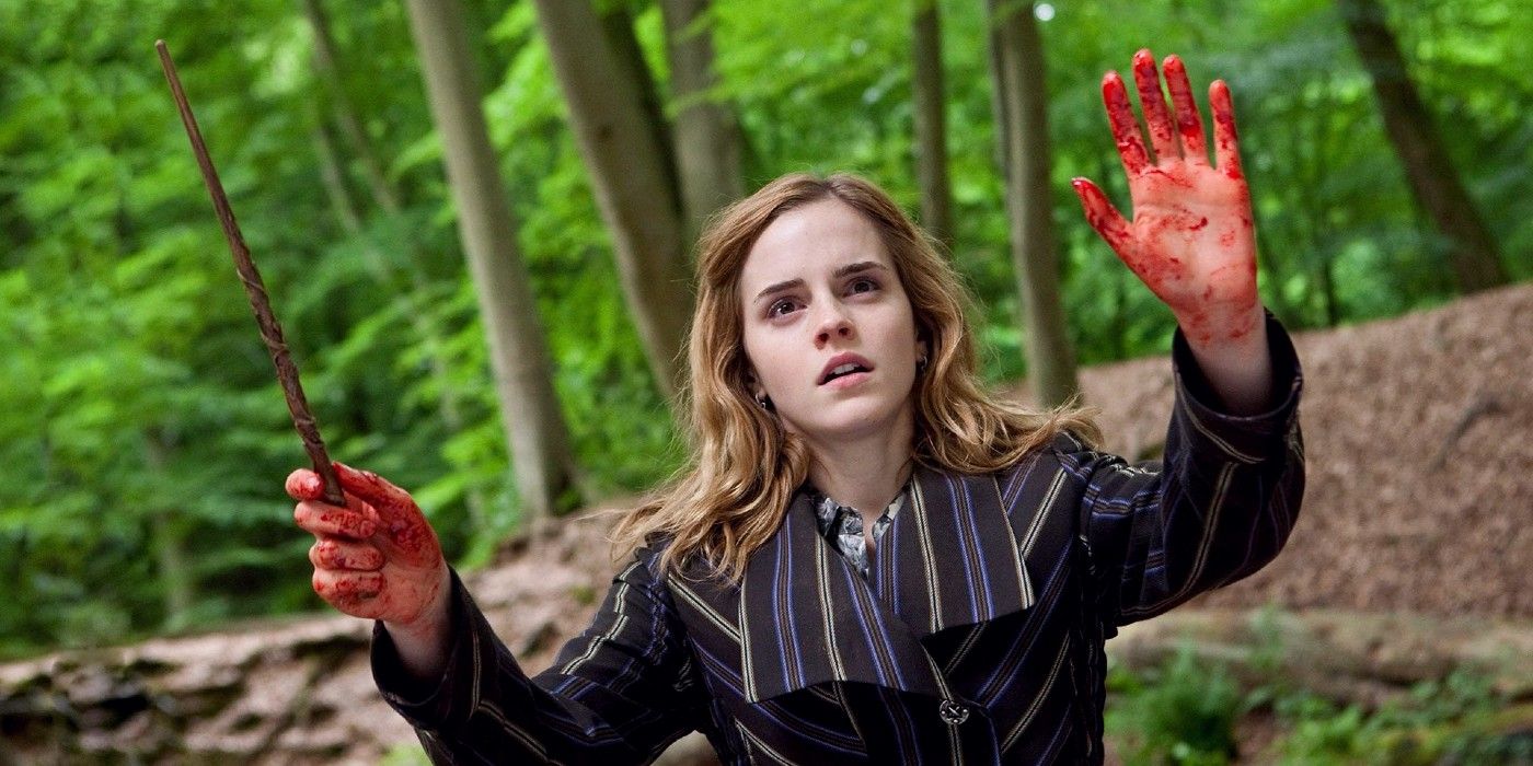 Every Main Character's Fate In The Harry Potter Movies