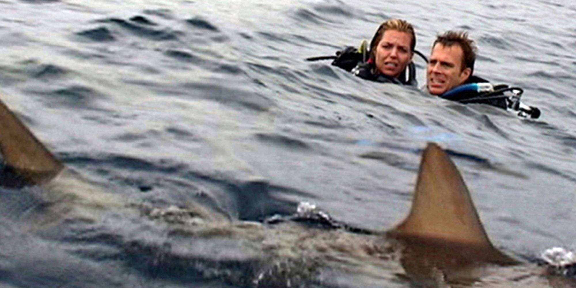 10 Best Man Versus Beast Movies Of All Time