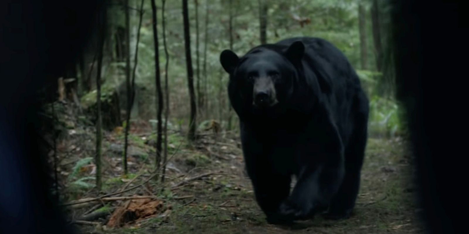 10 Best Man Versus Beast Movies Of All Time