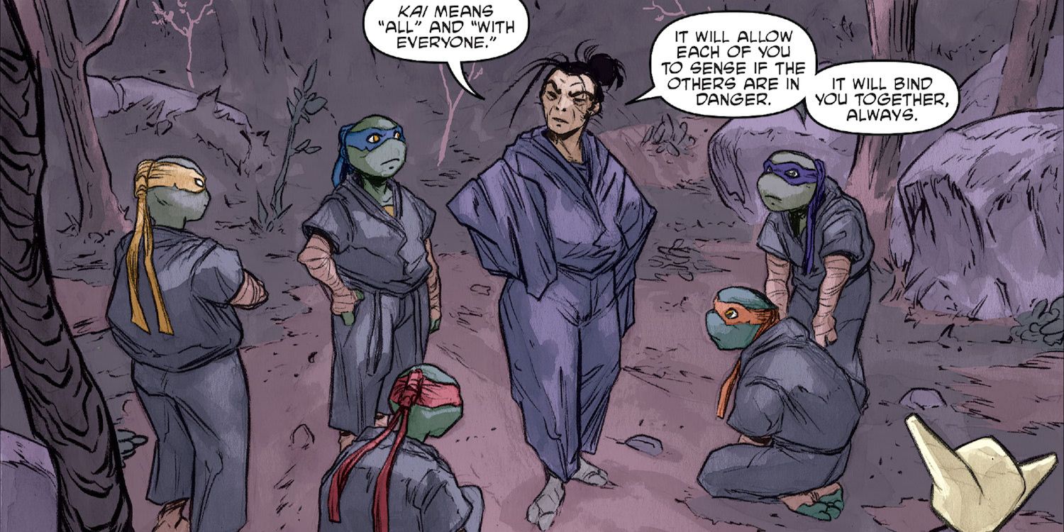 REVIEW: IDW's Teenage Mutant Ninja Turtles #132