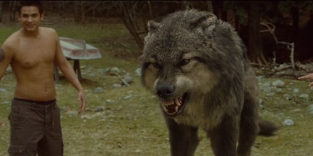 10 Worst Werewolves In Movies