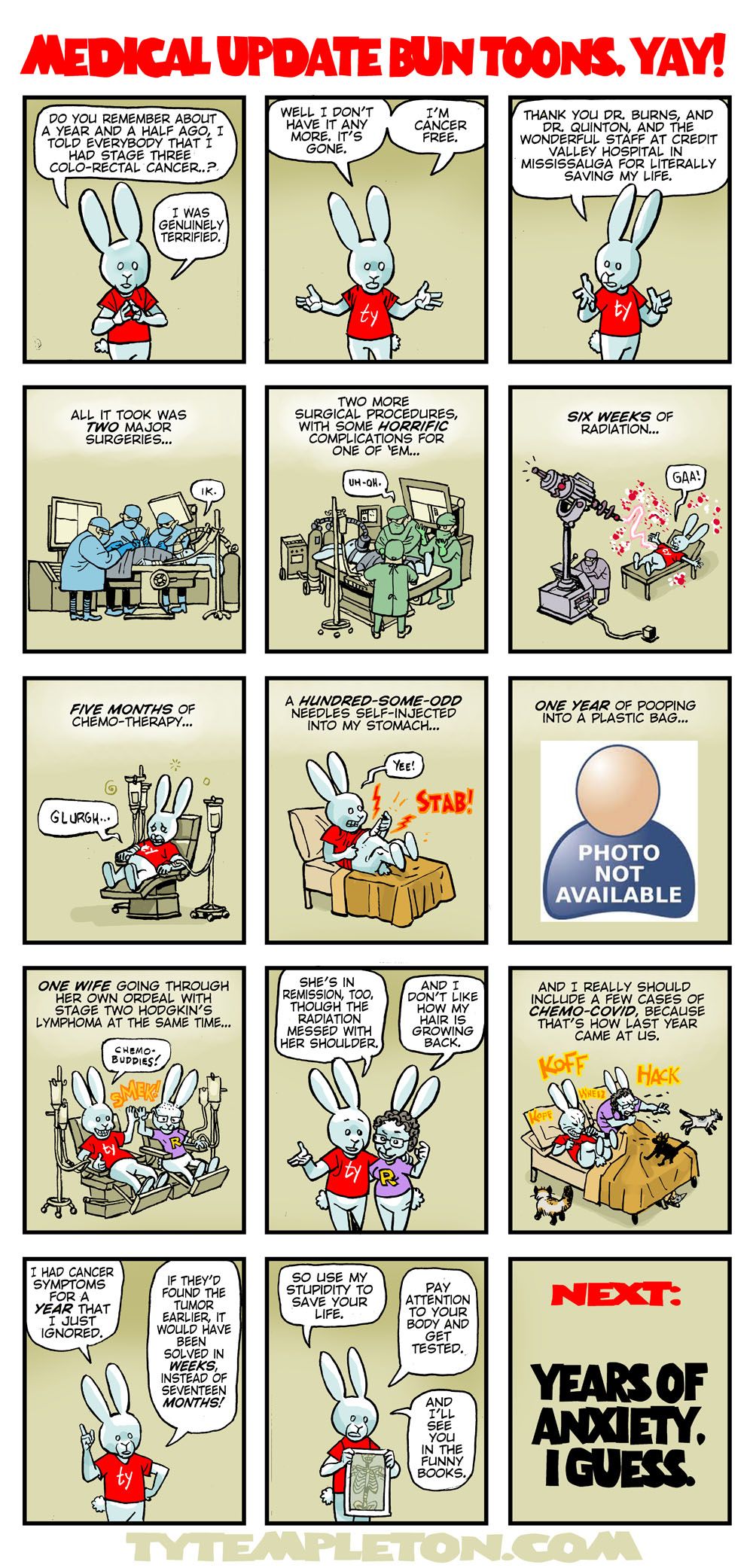 Iconic Batman Adventures Artist Ty Templeton Announces Cancer-Free ...