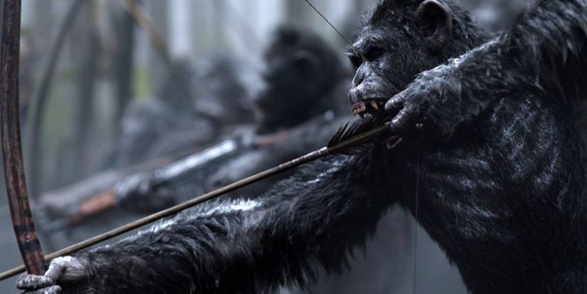 Planet of the Apes: Every Fight from the New Trilogy, Ranked