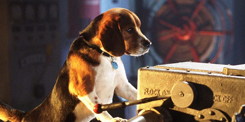 10 Best Animal Movies With Happy Endings