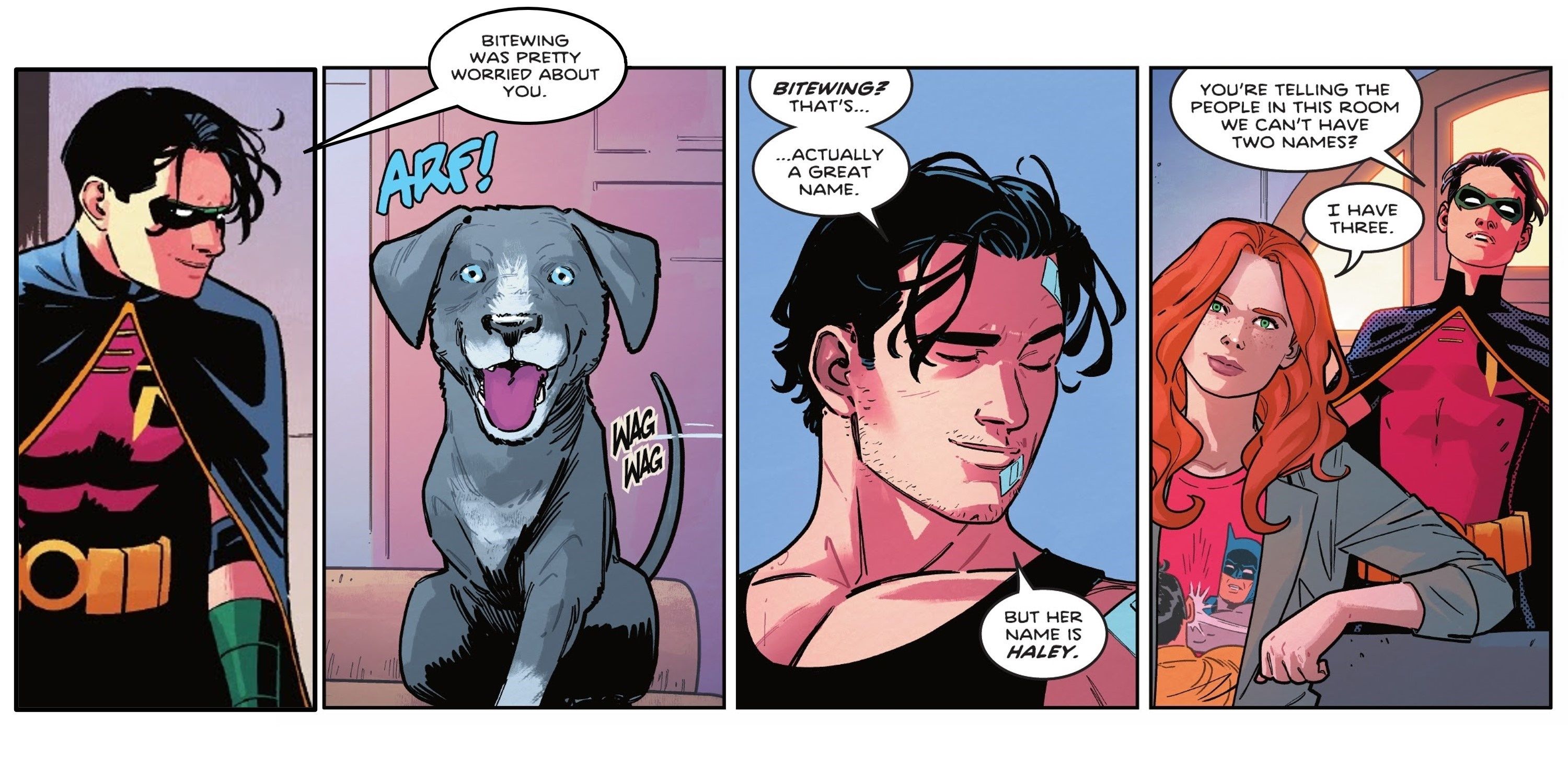 10 Ways Tim Drake And Dick Grayson Are The Best Brothers In The Bat Family