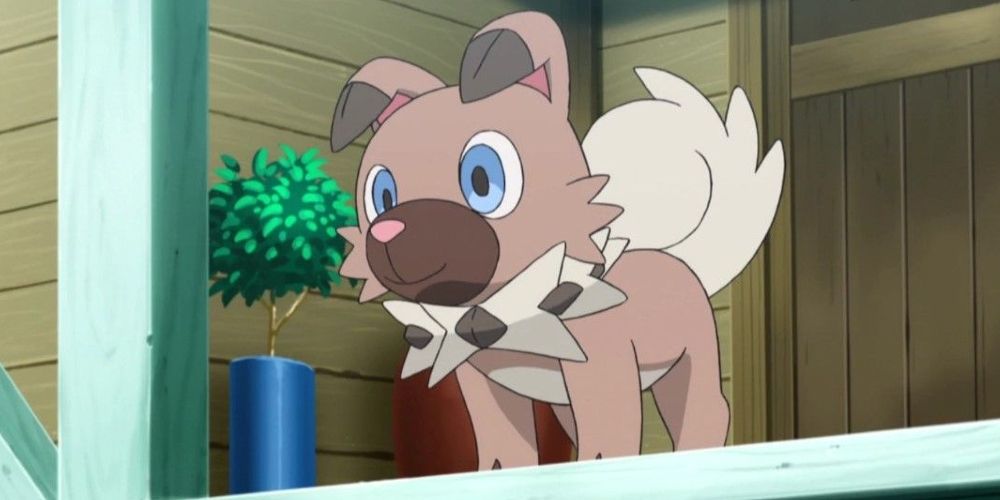 The Best Dogs in the Pokémon Franchise