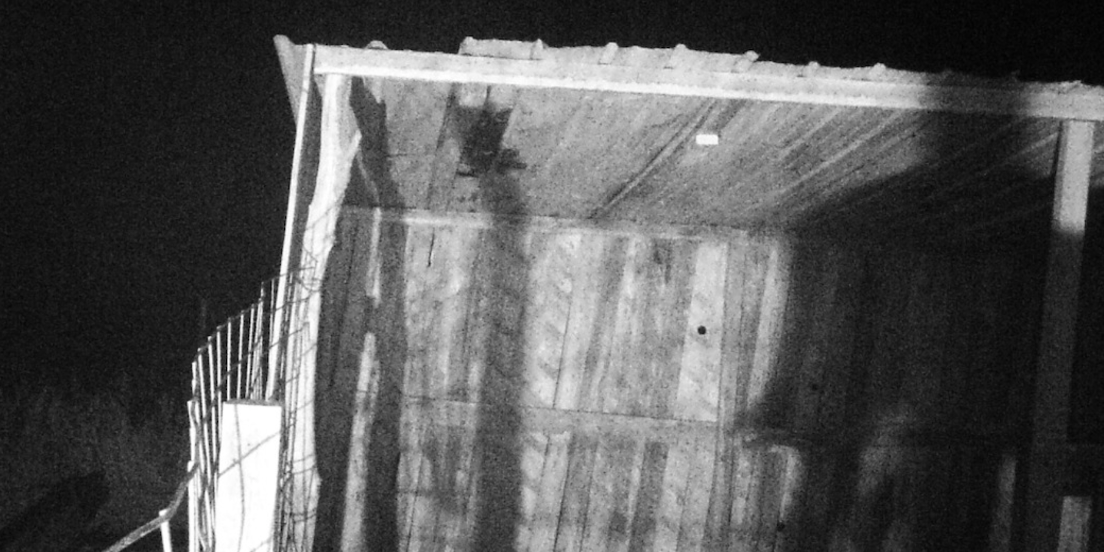 Unsolved Mysteries' Paranormal Rangers Is More Terrifying Than The X-Files