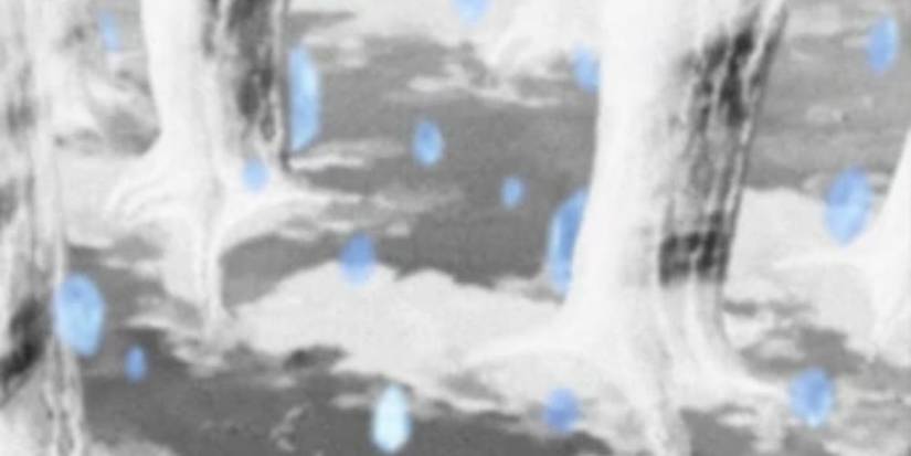 Shino Aburame's 10 Strongest Jutsu In Naruto, Ranked