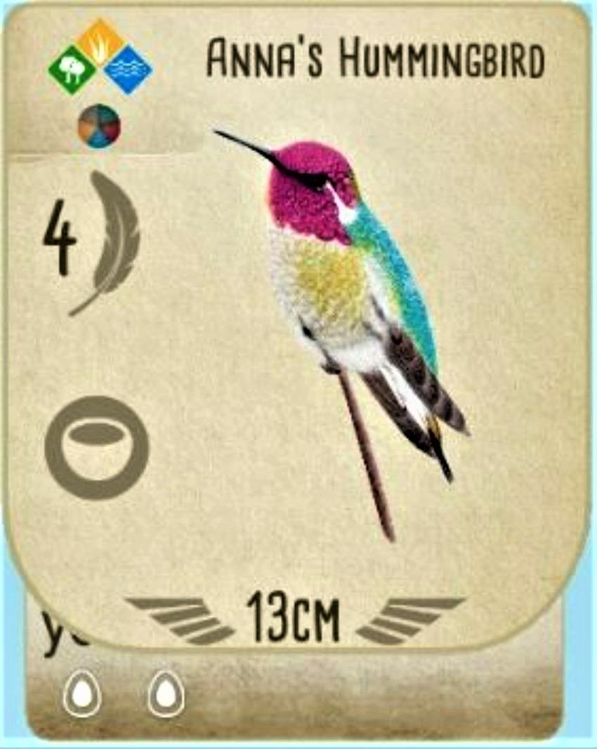 10 Prettiest Cards In Wingspan