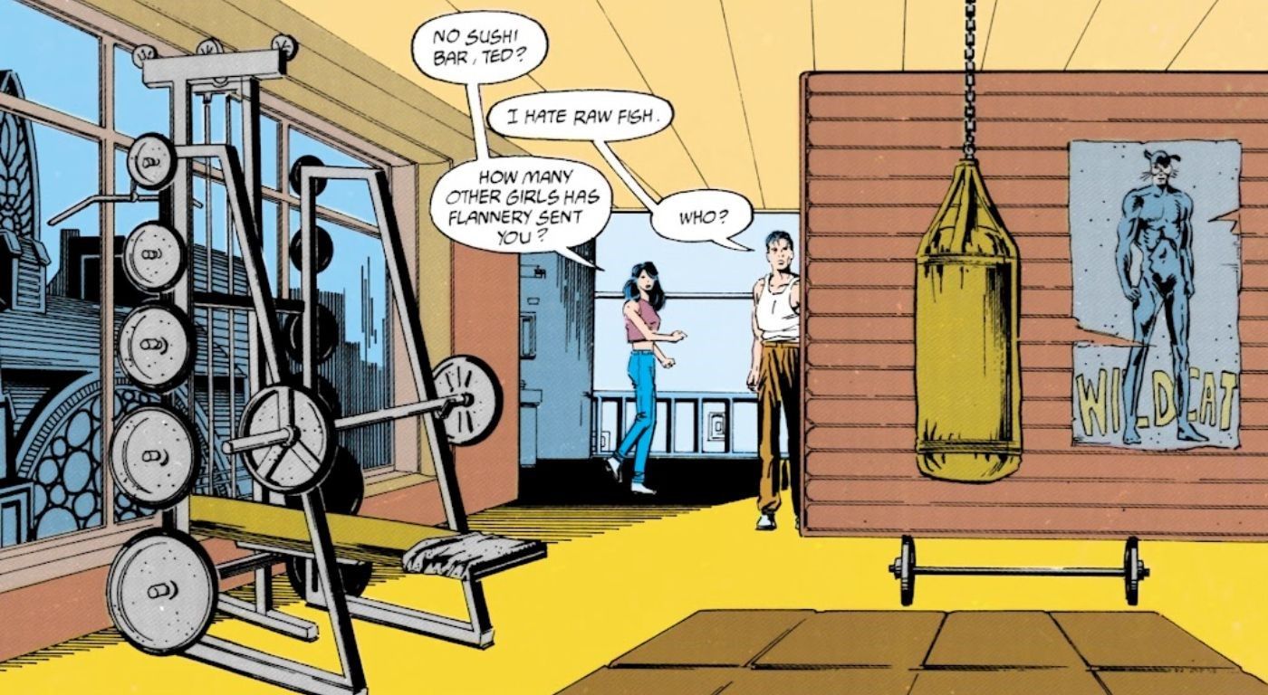 Catwoman Was Trained by the Justice Society's Best Fighter