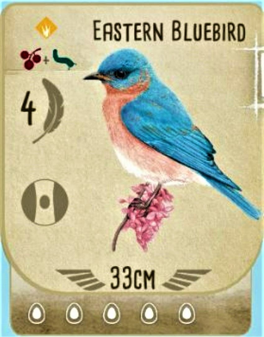 10 Prettiest Cards In Wingspan