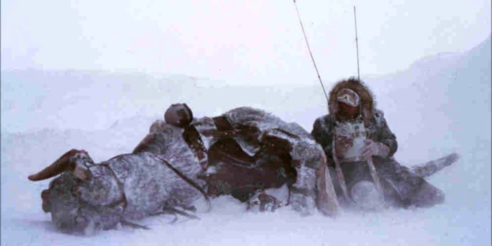 10 Coolest Feats In The Star Wars Original Trilogy