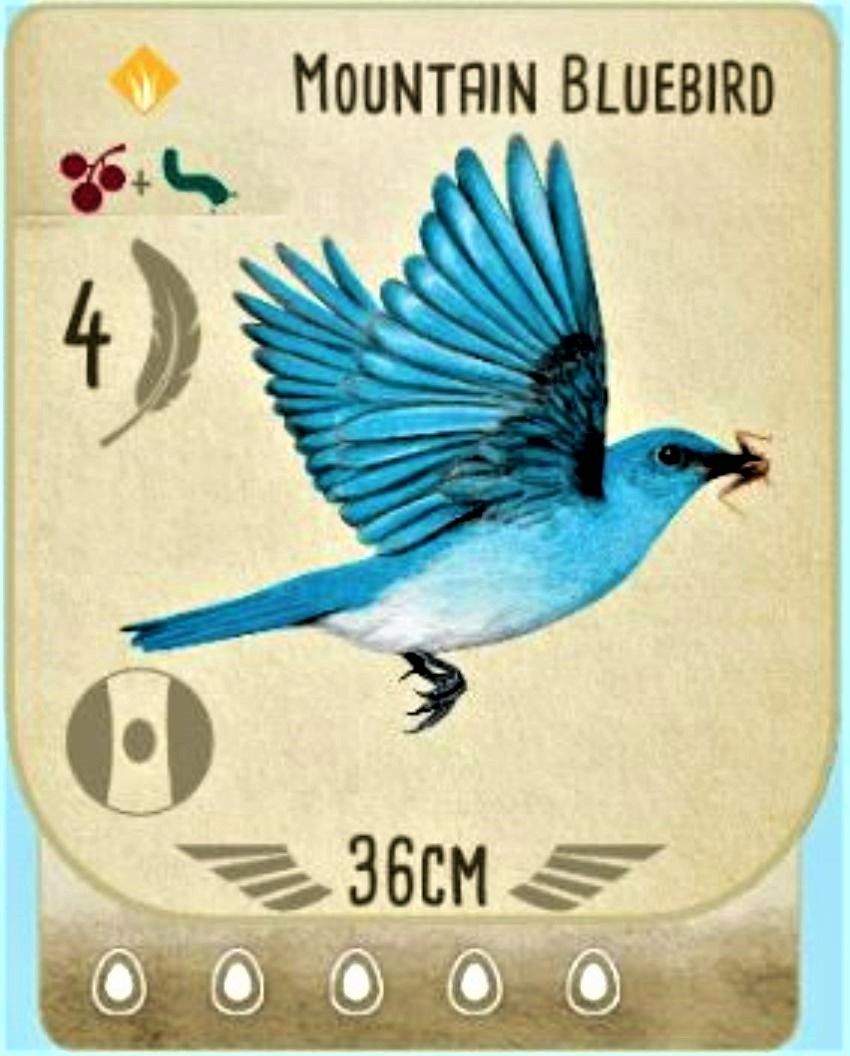 10 Prettiest Cards In Wingspan