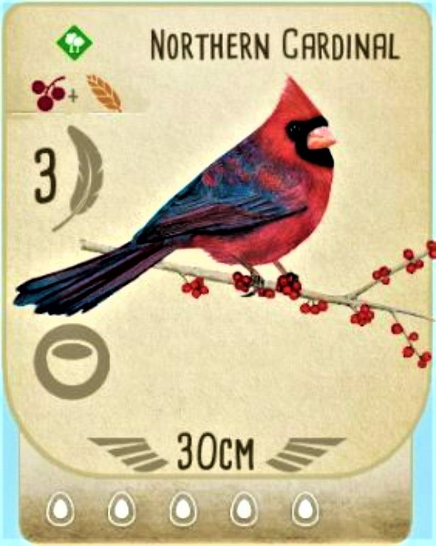 10 Prettiest Cards In Wingspan